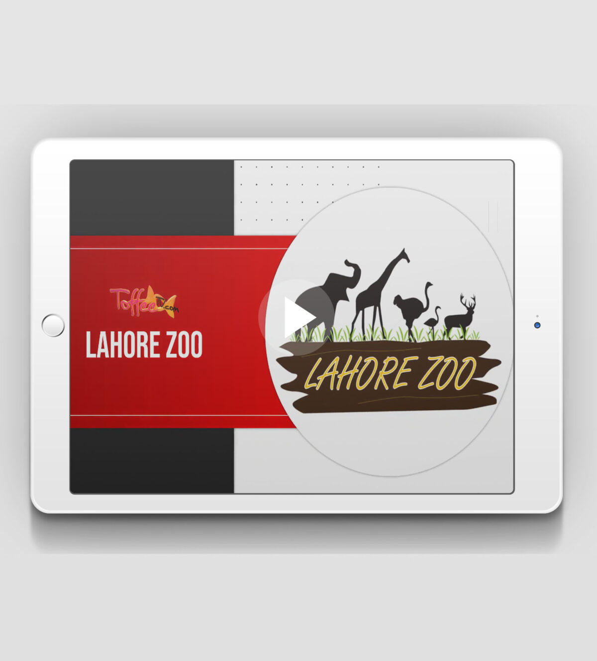 Lahore Zoo – ToffeeTV